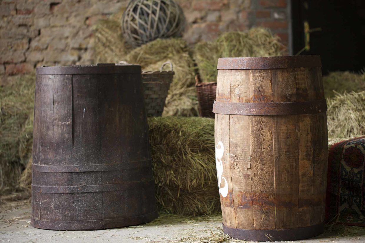 Gallery | Majesty Tours